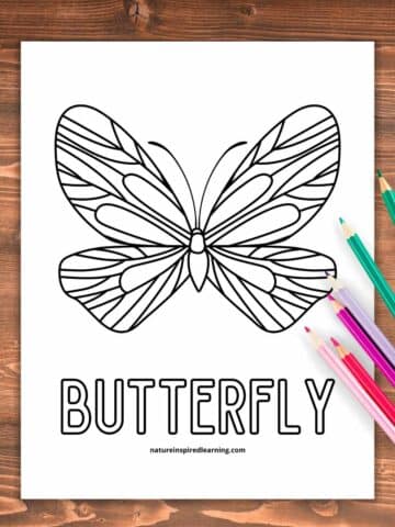 Beautiful Butterfly Coloring Pages - Nature Inspired Learning
