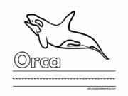 Orca Coloring Pages for Kids - Nature Inspired Learning