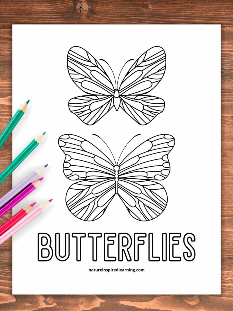 Beautiful Butterfly Coloring Pages - Nature Inspired Learning