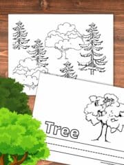 Tree Coloring Pages - Nature Inspired Learning