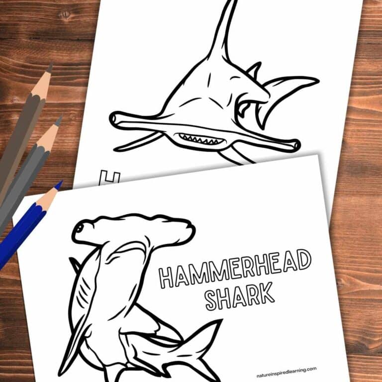 Wiggly Worm Coloring Pages - Nature Inspired Learning