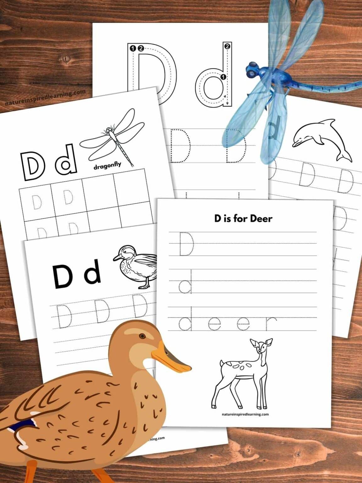 Free Letter D Tracing Worksheets - Nature Inspired Learning