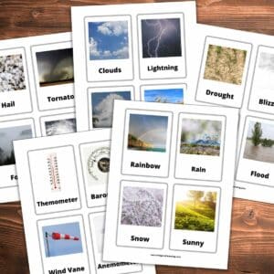 Fall Scavenger Hunt - Nature Inspired Learning