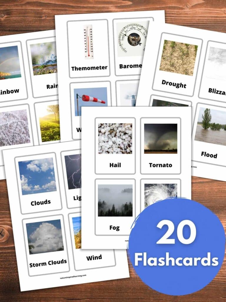 Weather Flashcards - Nature Inspired Learning
