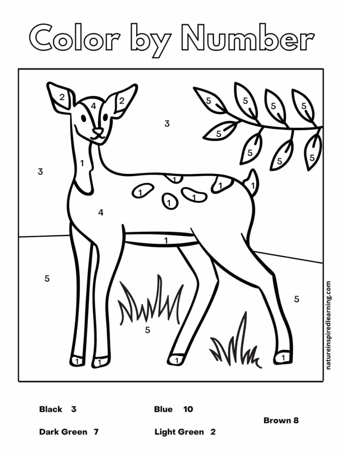 Animal Color By Number Worksheets - Nature Inspired Learning
