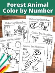 Animal Color By Number Worksheets - Nature Inspired Learning