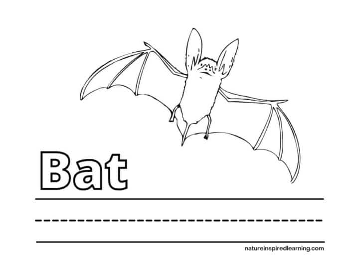 Bat Coloring Pages - Nature Inspired Learning