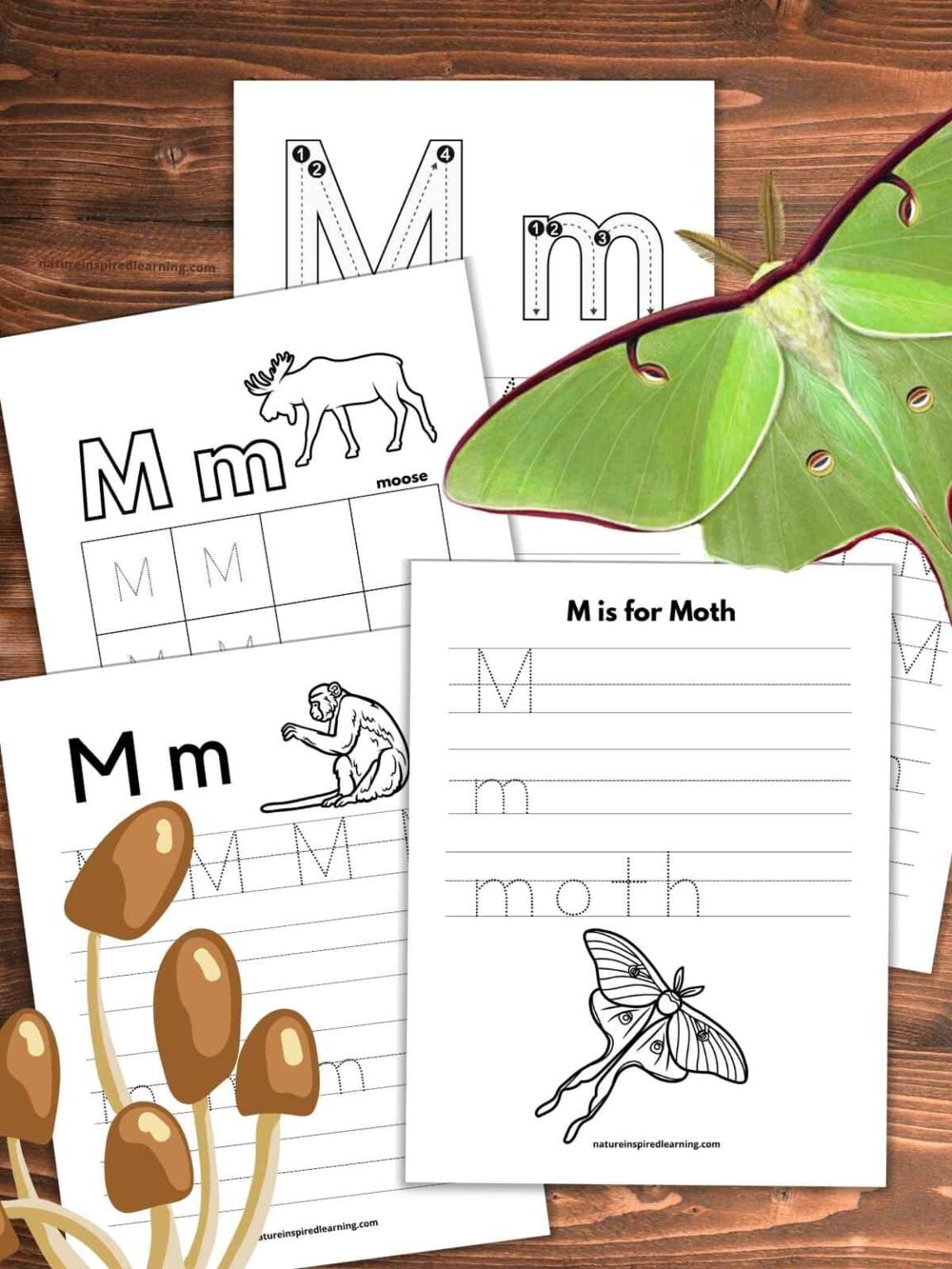Letter M Tracing Worksheets (Free) - Nature Inspired Learning