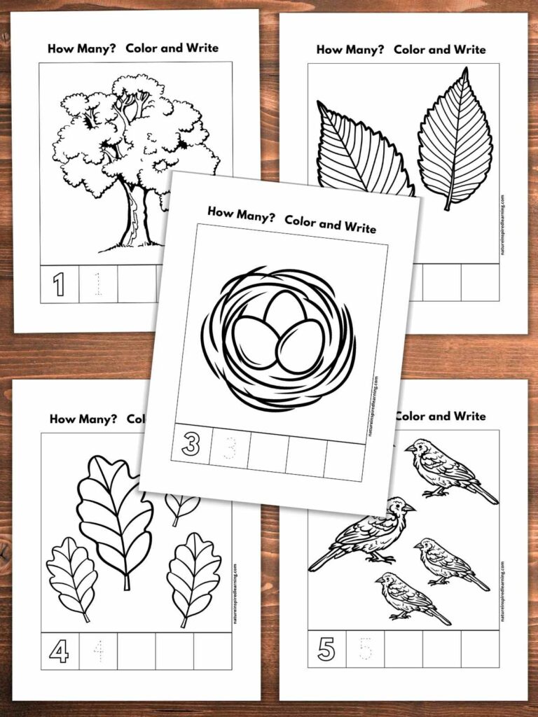 20 Number Recognition Worksheets - Nature Inspired Learning
