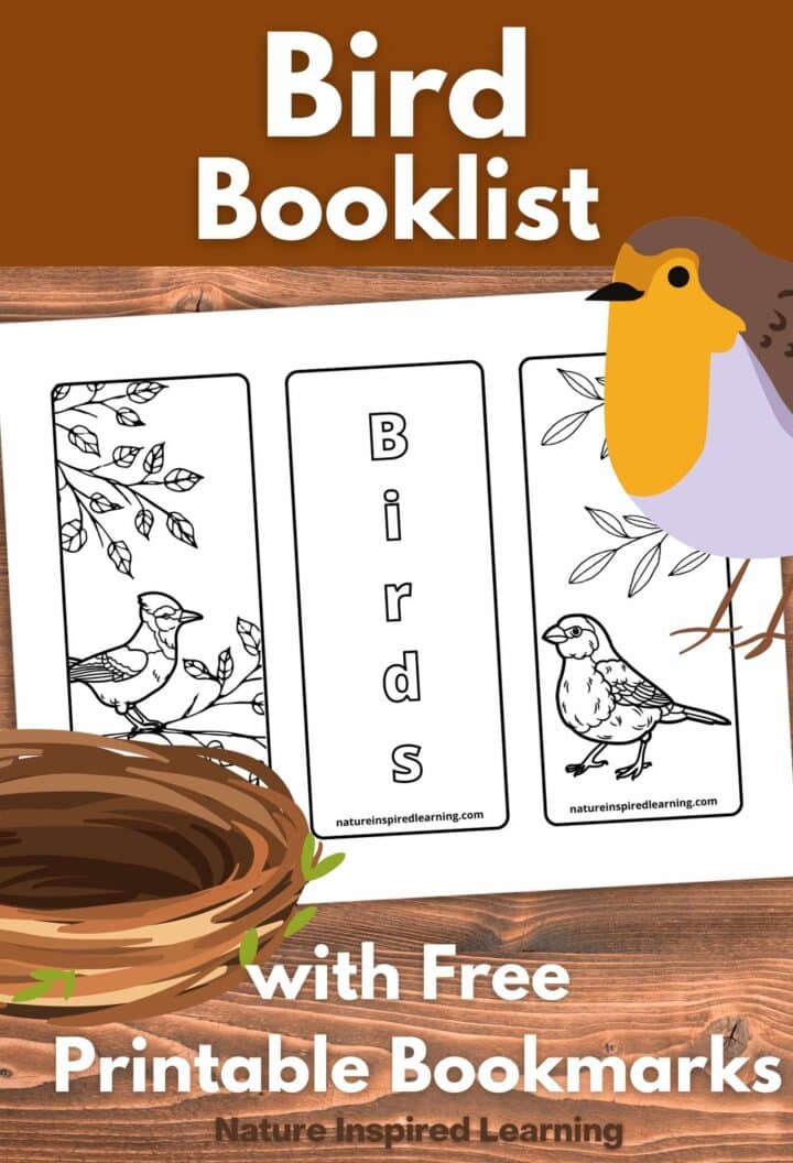 14 Children's Books about Birds - Nature Inspired Learning