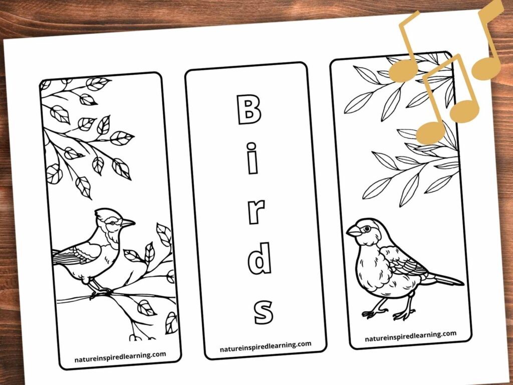 14 Children's Books about Birds - Nature Inspired Learning