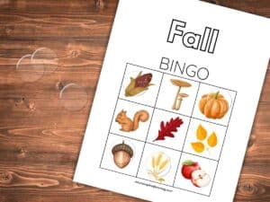 Fall Bingo (Printable) - Nature Inspired Learning