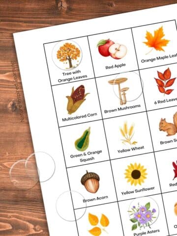 Fall Bingo (Printable) - Nature Inspired Learning
