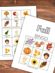 Activities with a Nature Twist - Nature Inspired Learning