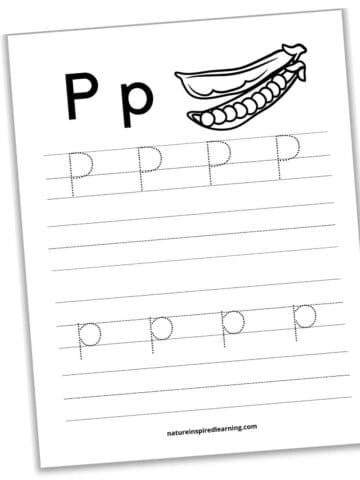 Free Letter P Tracing Worksheets - Nature Inspired Learning