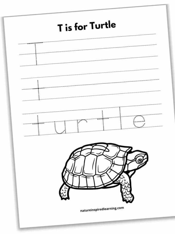 Letter T Tracing Worksheets (Free) - Nature Inspired Learning