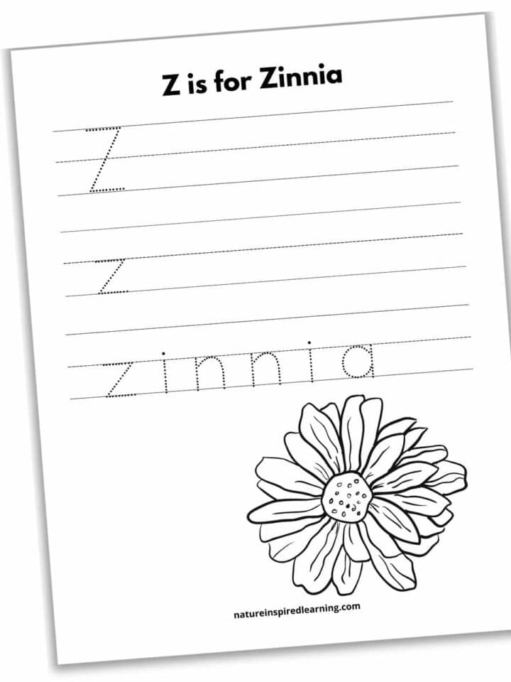 Letter Z Tracing Worksheets - Nature Inspired Learning