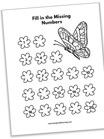 Missing Numbers Worksheets 1-10 and 1-20