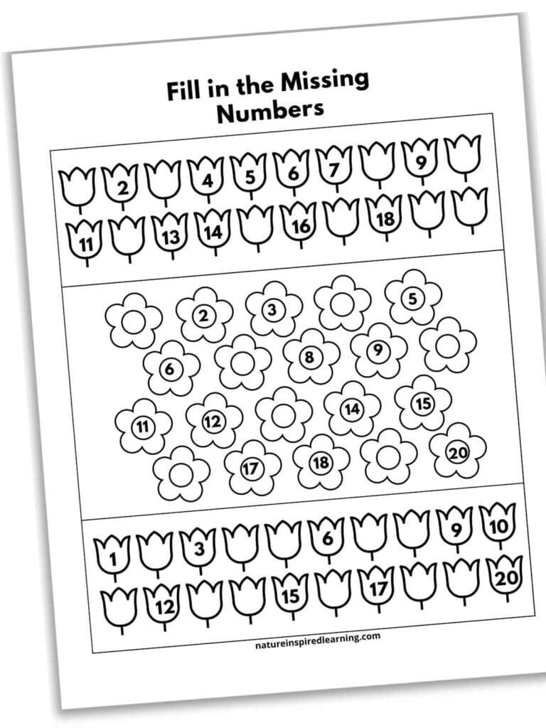 Missing Numbers Worksheets 1-10 and 1-20
