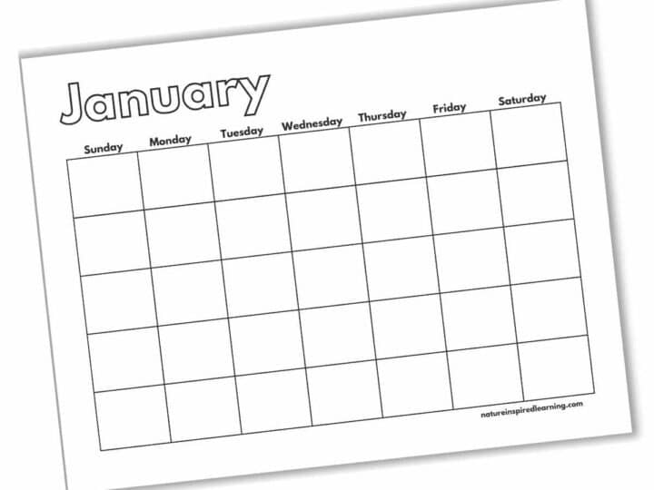Free Printable Blank Calendars - Nature Inspired Learning