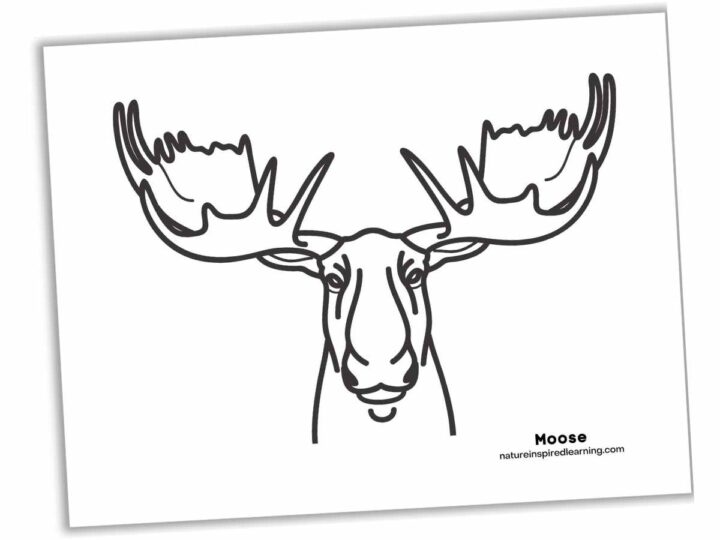 Moose Coloring Pages - Nature Inspired Learning
