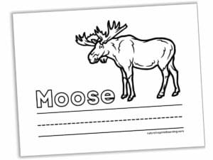 Moose Coloring Pages - Nature Inspired Learning