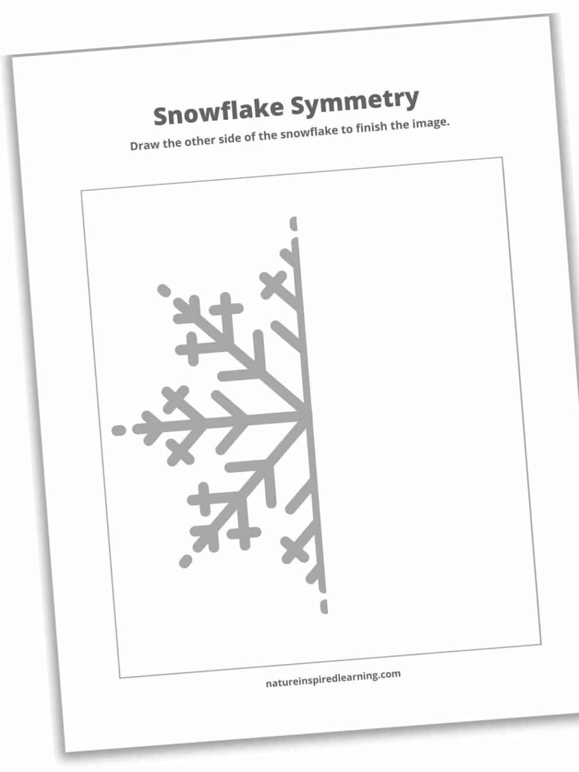 Snowflake Symmetry Worksheets - Nature Inspired Learning