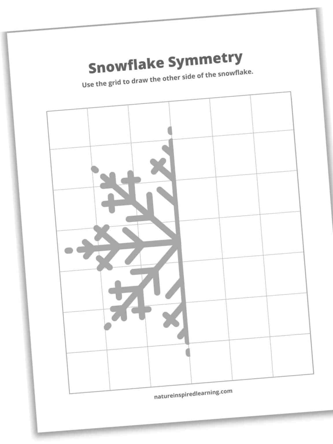 Snowflake Symmetry Worksheets - Nature Inspired Learning