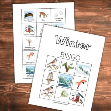Fall Bingo (Printable) - Nature Inspired Learning