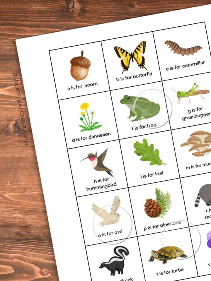 Alphabet Bingo Game - Nature Inspired Learning