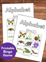 Alphabet Bingo Game - Nature Inspired Learning