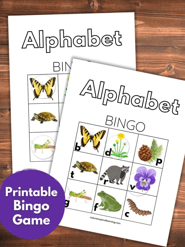 Alphabet Bingo Game - Nature Inspired Learning