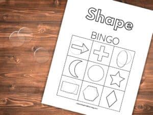 Shape Bingo (Printable) - Nature Inspired Learning