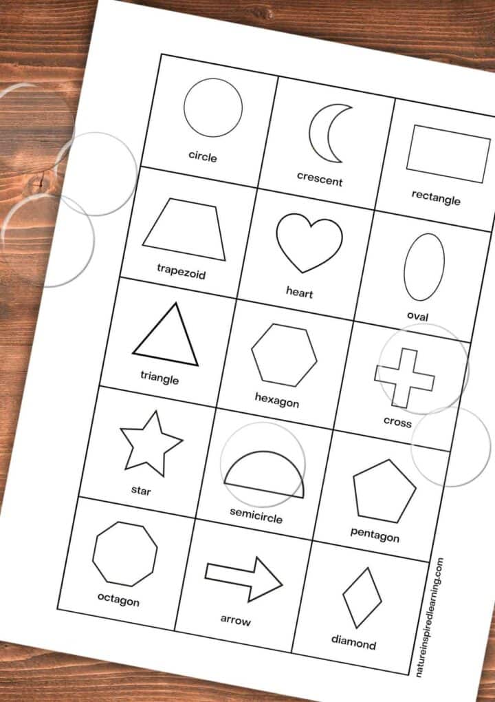 Shape Bingo (Printable) - Nature Inspired Learning