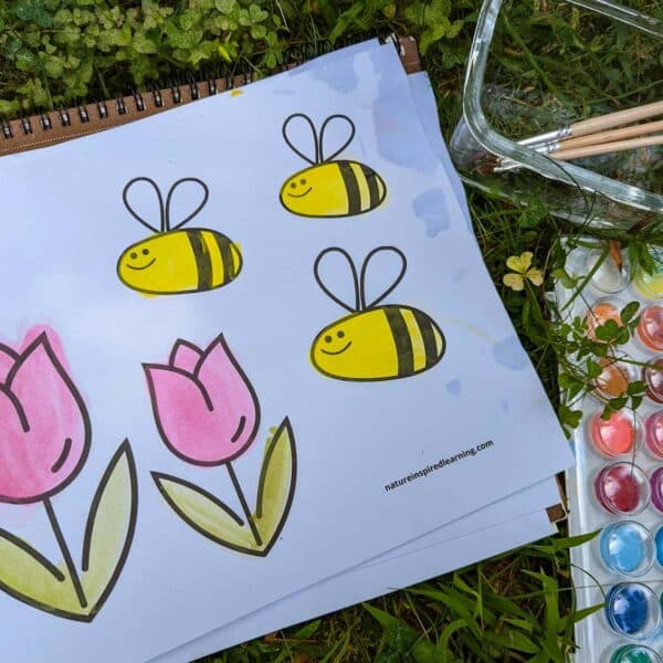 Life Cycle of a Butterfly Coloring Pages - Nature Inspired Learning