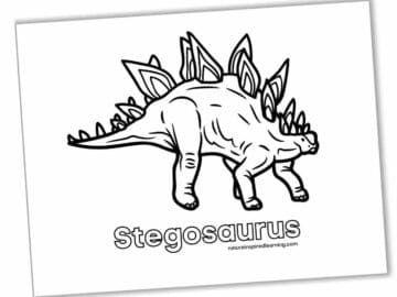 Stegosaurus Coloring Pages - Nature Inspired Learning