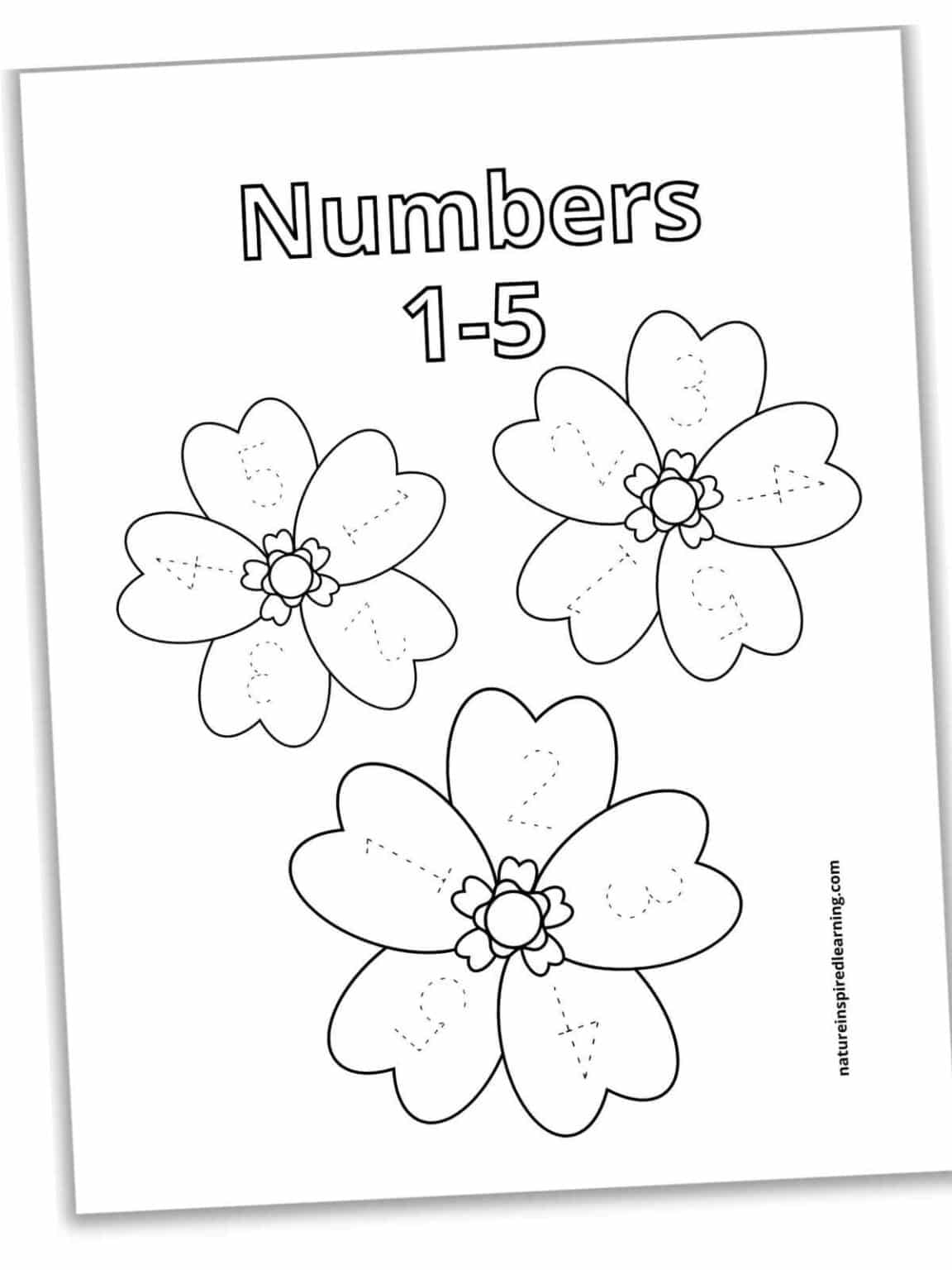 Tracing Numbers 1-5 - Nature Inspired Learning