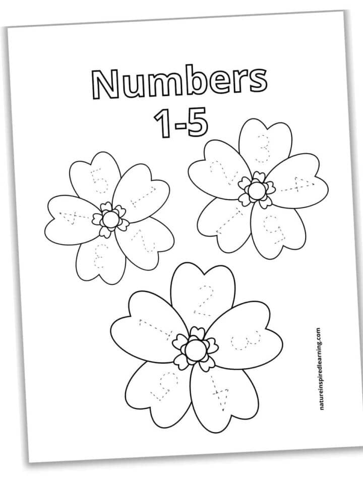 Tracing Numbers 1-5 - Nature Inspired Learning
