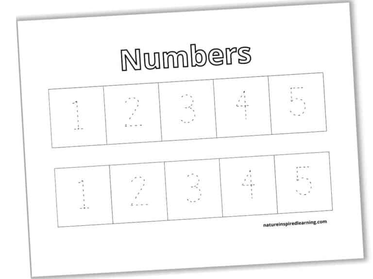 Tracing Numbers 1-5 - Nature Inspired Learning