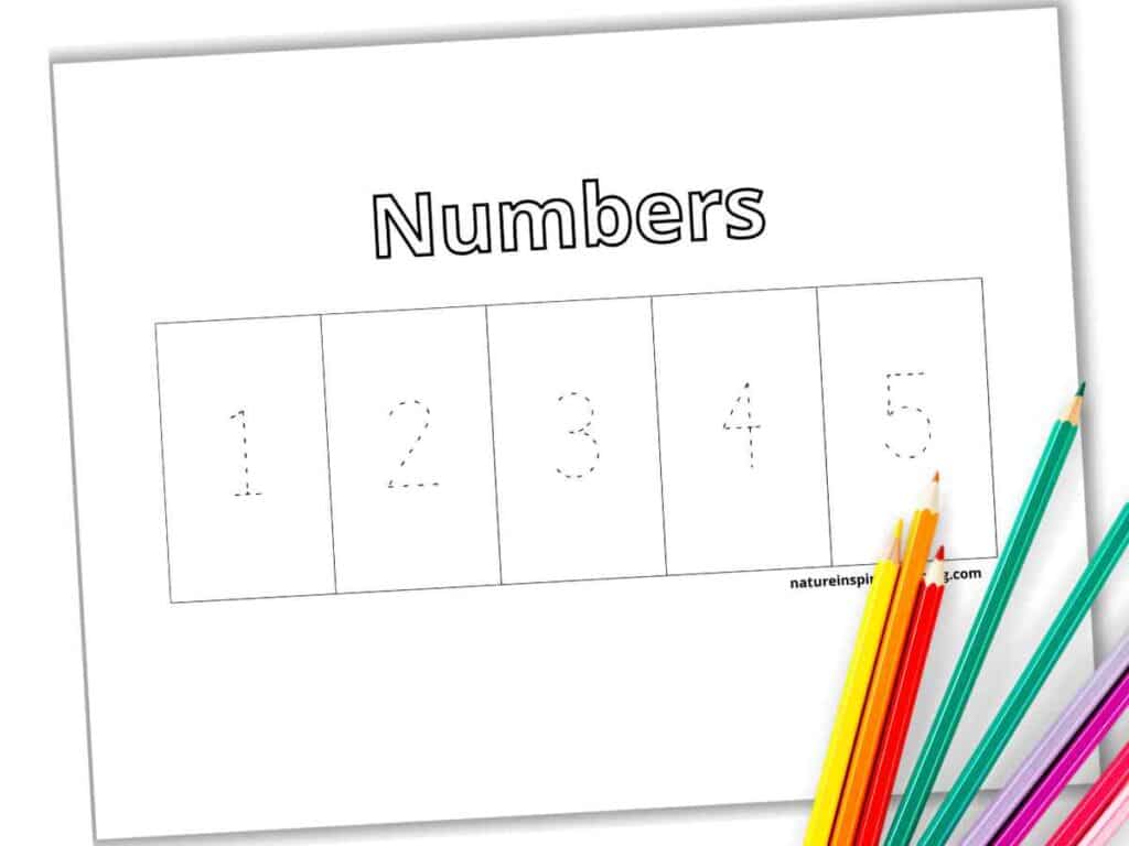 Tracing Numbers 1-5 - Nature Inspired Learning