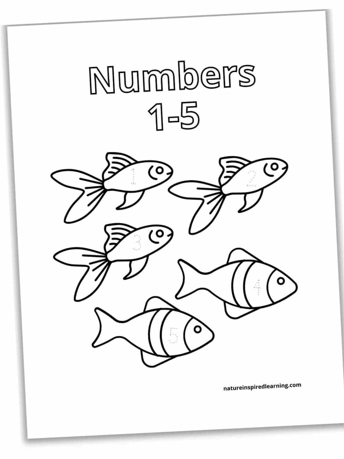 Tracing Numbers 1-5 - Nature Inspired Learning
