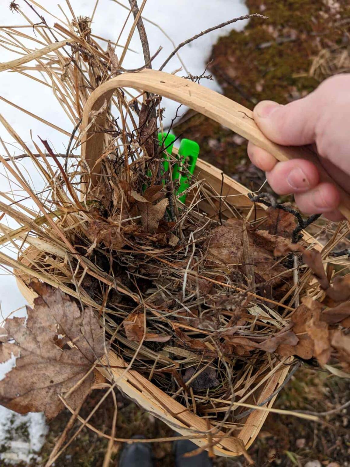 Make a Bird's Nest Activity - Nature Inspired Learning
