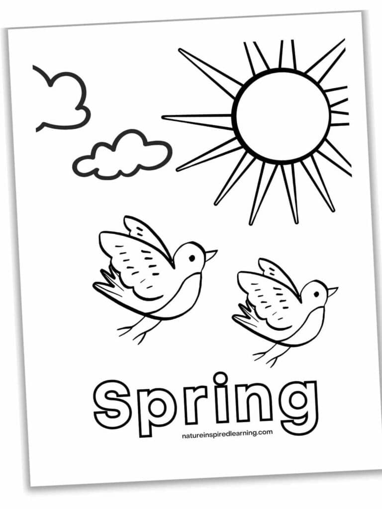 Beautiful Spring Coloring Pages - Nature Inspired Learning