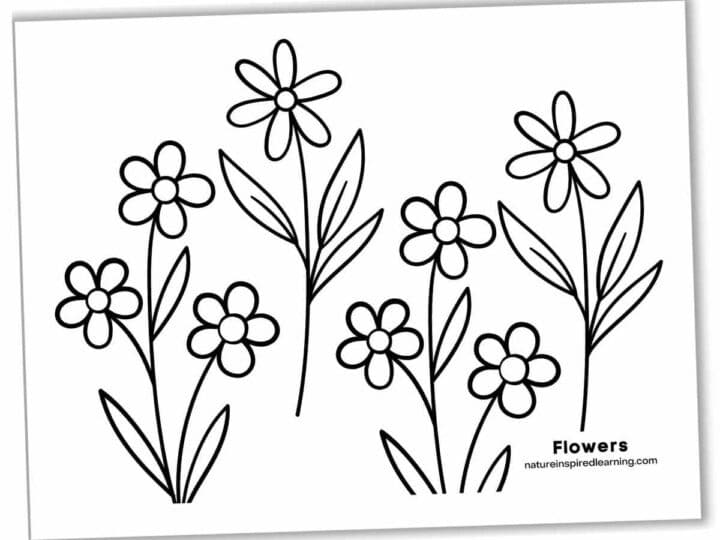 Beautiful Flower Coloring Pages - Nature Inspired Learning