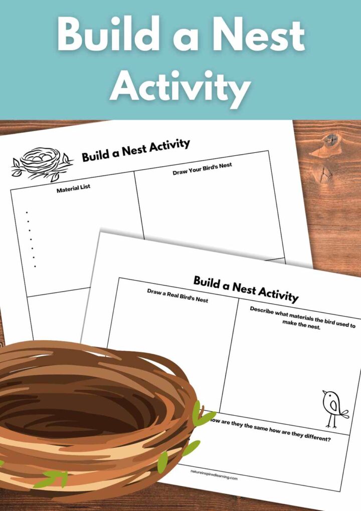 Make a Bird's Nest Activity - Nature Inspired Learning