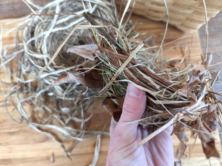 Make a Bird's Nest Activity - Nature Inspired Learning