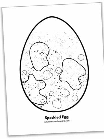 Egg Coloring Pages - Nature Inspired Learning