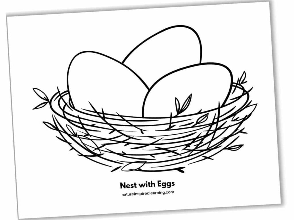 Egg Coloring Pages - Nature Inspired Learning