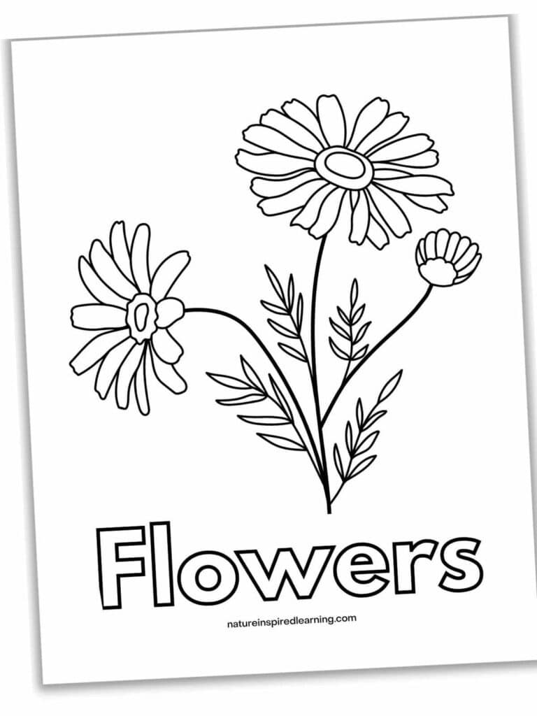 Beautiful Flower Coloring Pages - Nature Inspired Learning