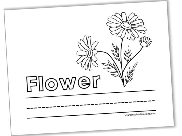 Beautiful Flower Coloring Pages - Nature Inspired Learning
